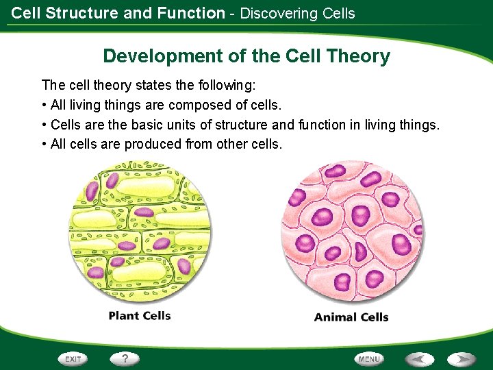 Cell Structure and Function Table of Contents Discovering