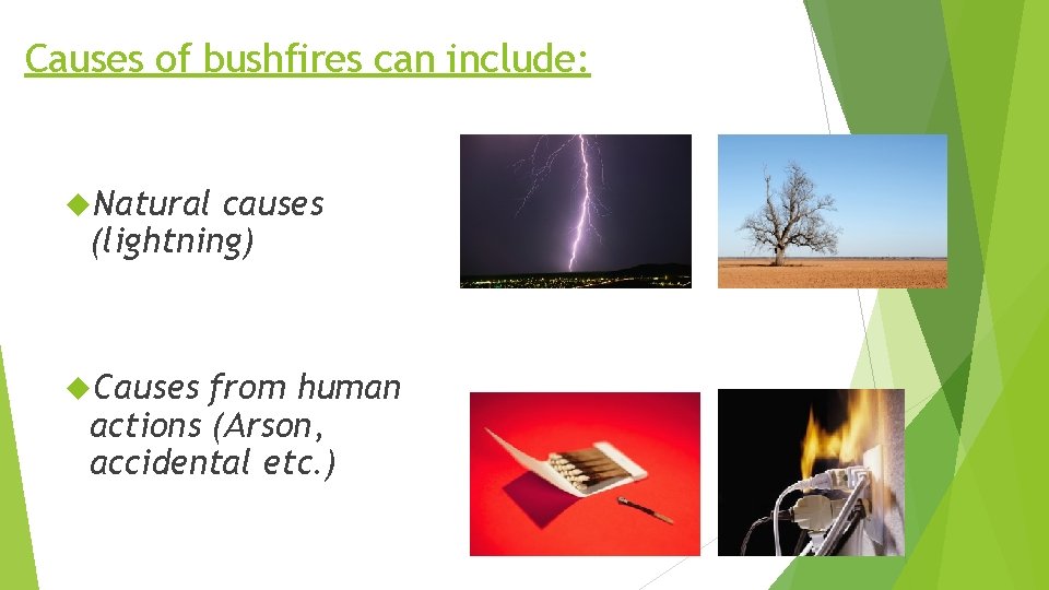 Sustainable Practices Managing bushfires in Queensland Information adapted