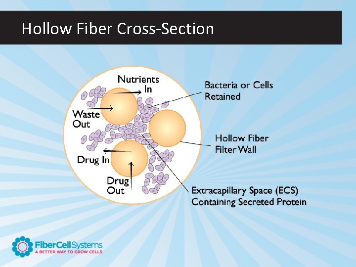 Antibiotic Resistance Emerging antibiotic resistance is a major