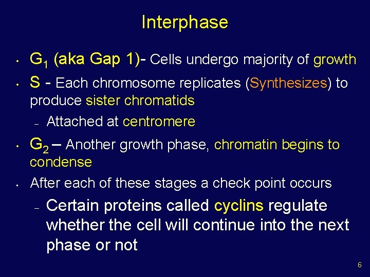 The Cell Cycle and How Cells Divide Functions