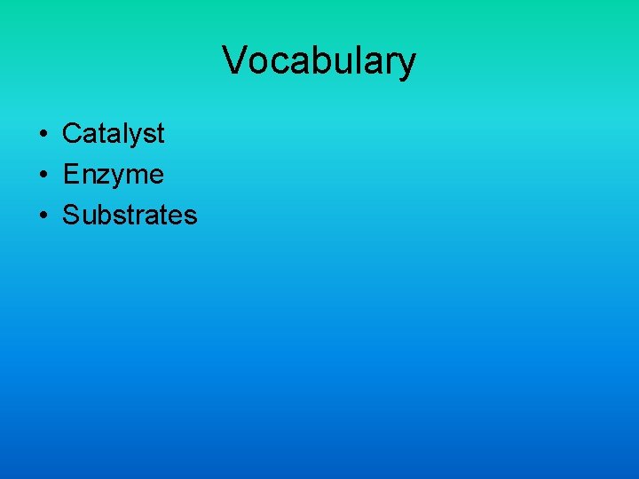 Enzymes Notes 1 b Enzymes are proteins that