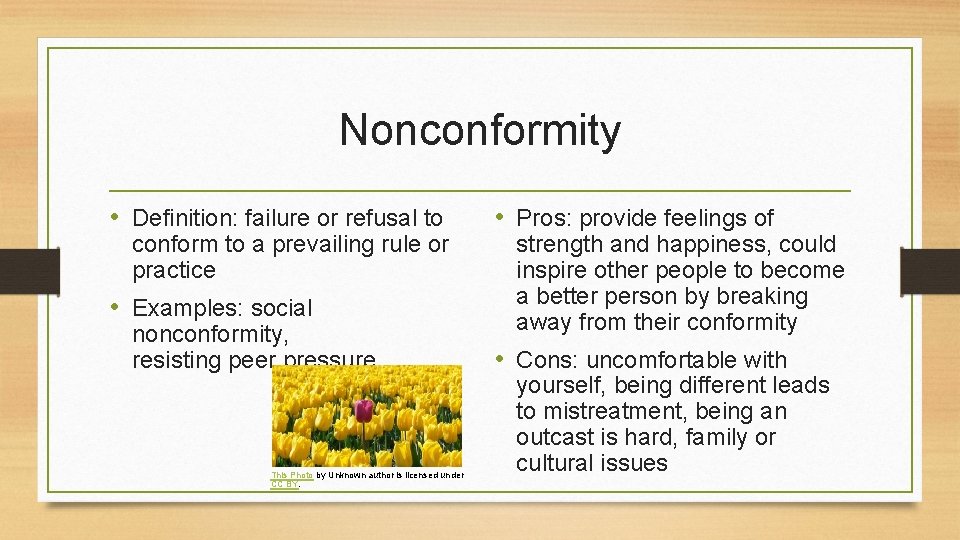 Anarchy I mean What is Rebellion By Anya