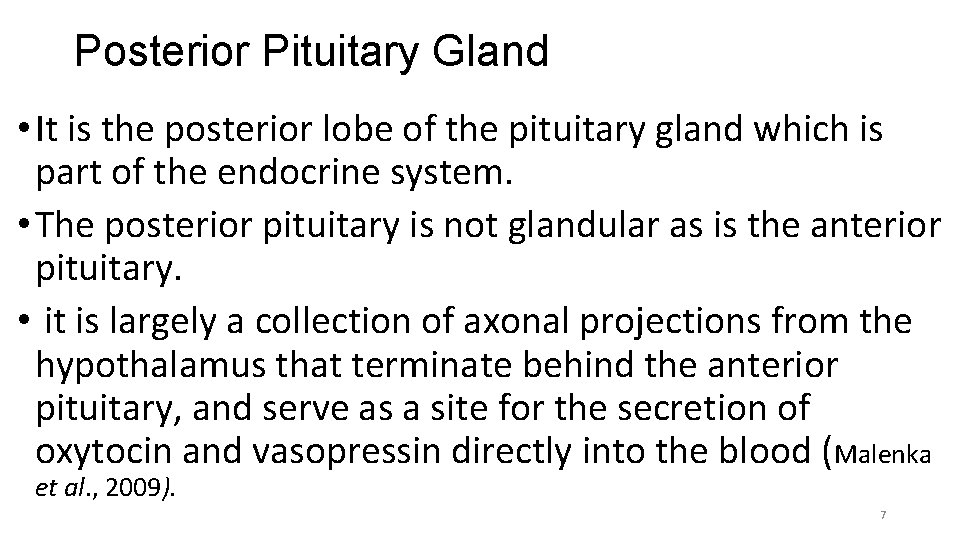 Group 2 MLS 514 presentation OVERVIEW ON POSTERIOR