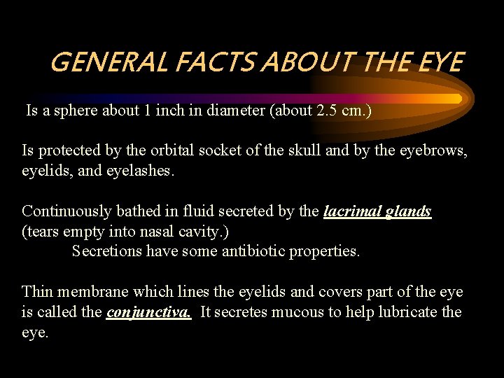EYE STRUCTURE and VISION GENERAL FACTS ABOUT THE