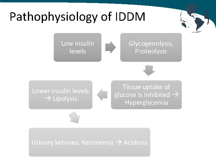 InsulinDependent Diabetes Mellitus IDDM Anesthetic Implications and ...