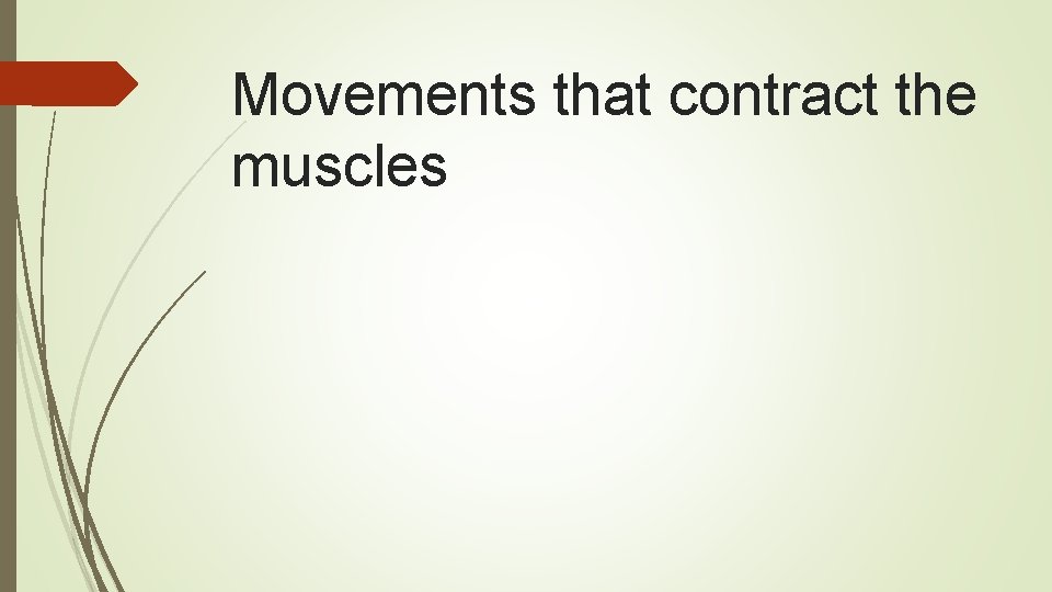 PERSONAL FITNESS LESSON 2 Basic Muscle Anatomy and