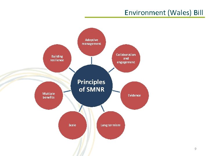 Building Resilience Wellbeing of Future Generations Act and