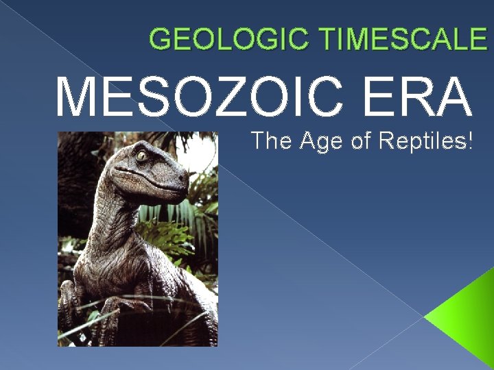 GEOLOGIC TIMESCALE MESOZOIC ERA The Age of Reptiles