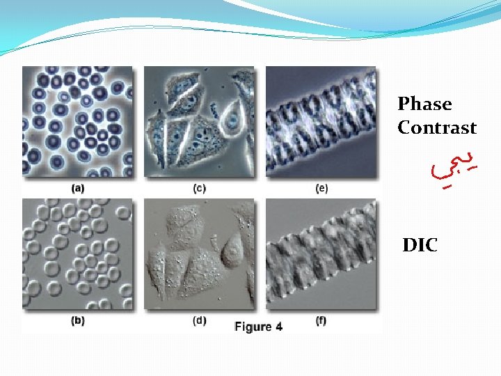 LIGHT MICROSCOPY variations LESSON 4 Types of Light