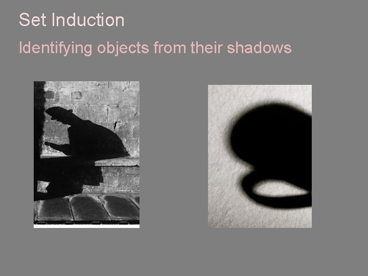 Light Shadow With 1 st Graders Objectives Students