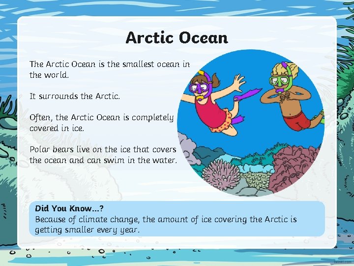 What Is an Ocean An ocean is a