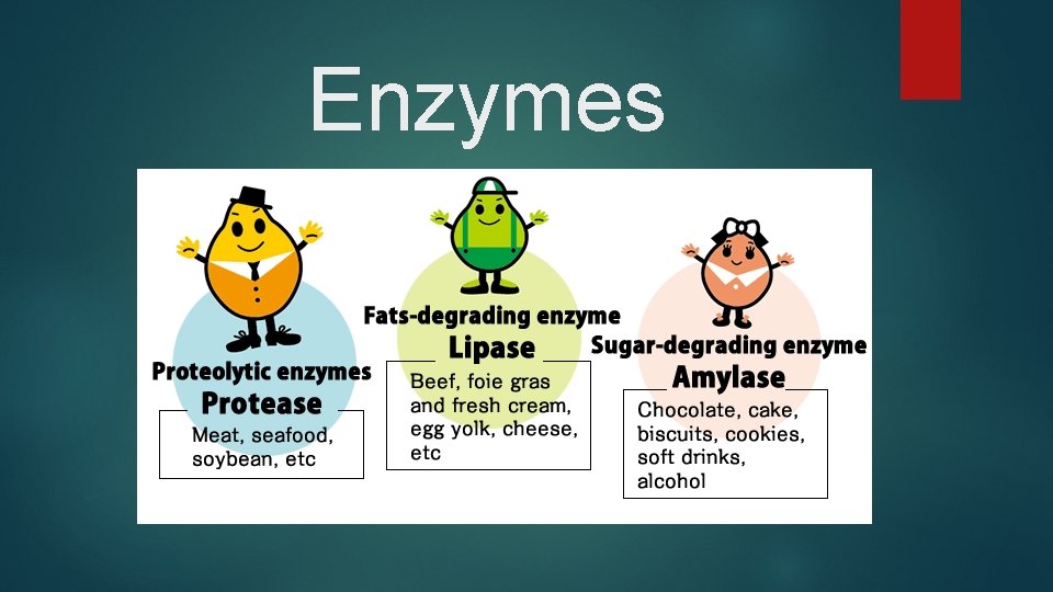 Enzymes Chemical Reactions A chemical reaction is a