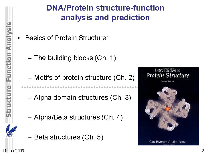 StructureFunction Analysis DNAProtein structurefunction analysis and ...