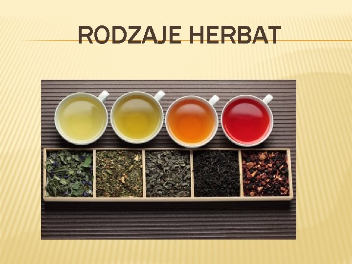 HERBATA I JEJ RODZAJE Niewielu z nas wie