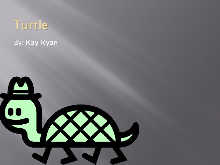 Turtle By Kay Ryan Louisiana land of Audubon