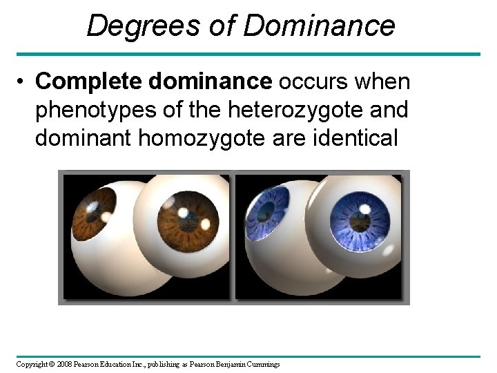 Degrees of Dominance Complete dominance occurs when phenotypes
