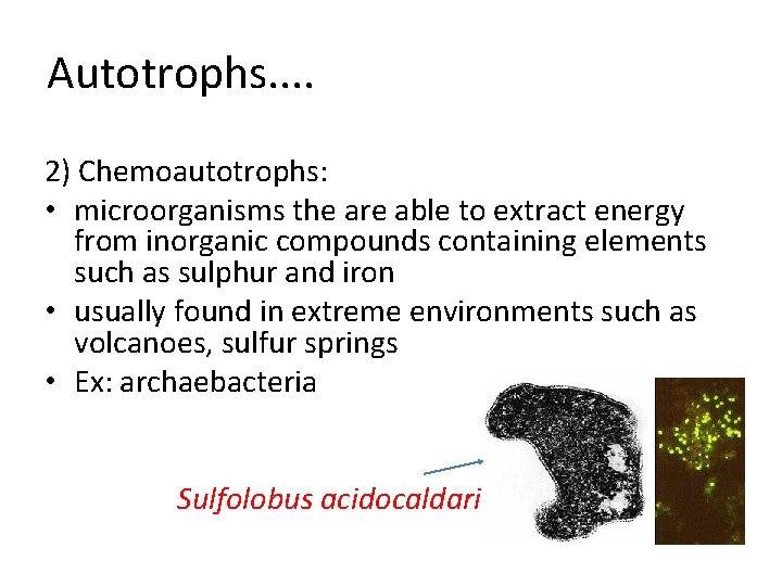 CELLULAR RESPIRATION An Introduction 2 8 8 2