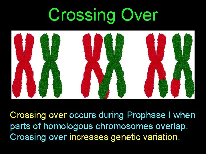Meiosis and Sexual Reproduction Goal 1 of Meiosis