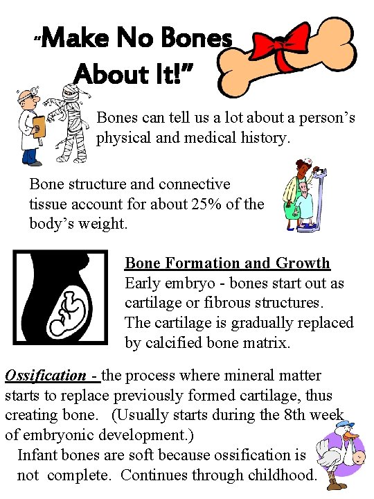 Make No Bones About It Bones can tell