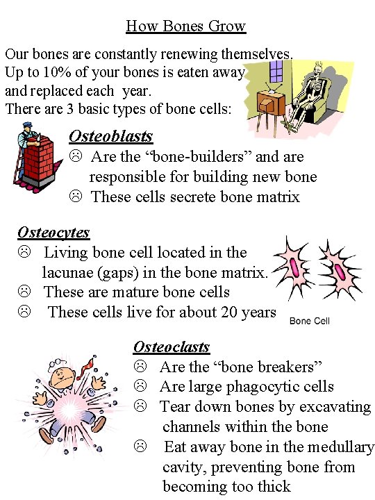 Make No Bones About It Bones can tell