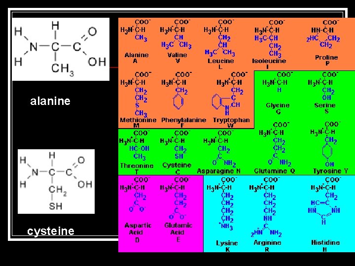Water and Biochemistry Properties of Water 1 2
