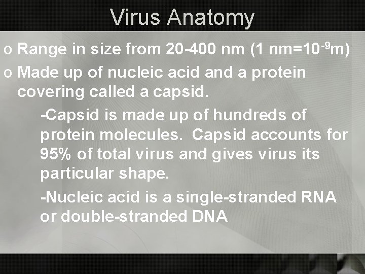 Viruses Small but deadly The Black Death o