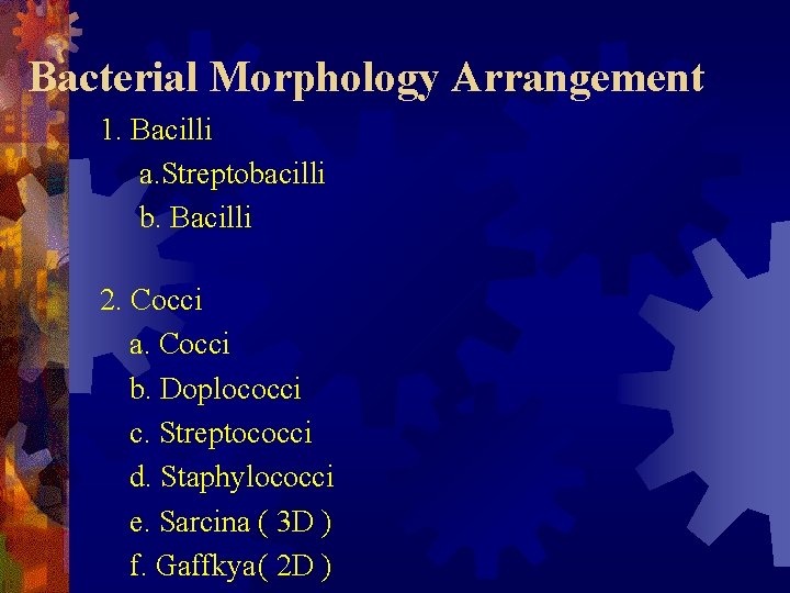 Bacterial Morphology Arrangement 1 Bacilli a Streptobacilli b
