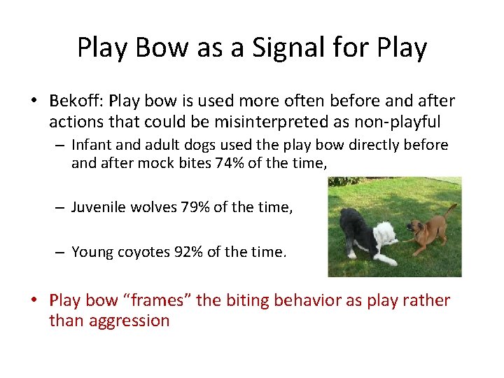 Domesticity and Play in Dogs Dogs beginning play