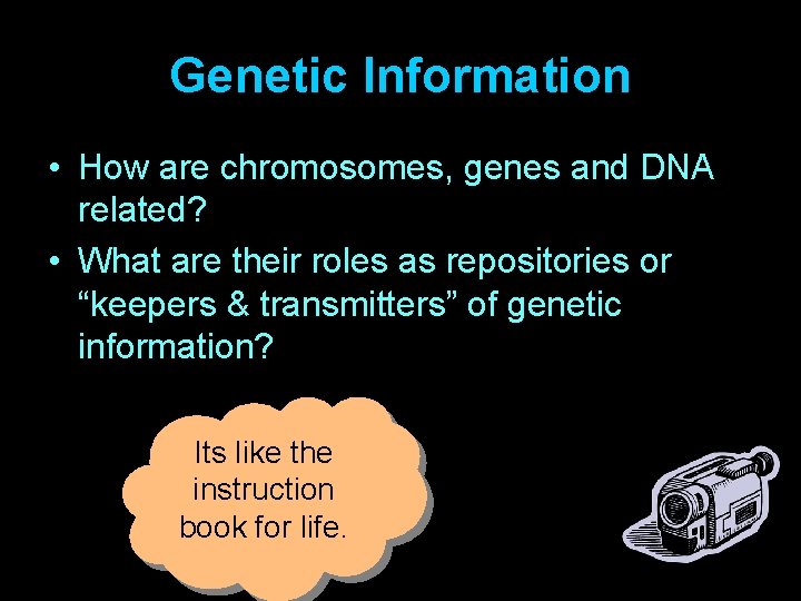 Genetic Information How are chromosomes genes and DNA
