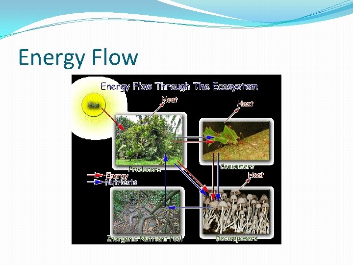 Chapter 3 The Biosphere 3 1 What is