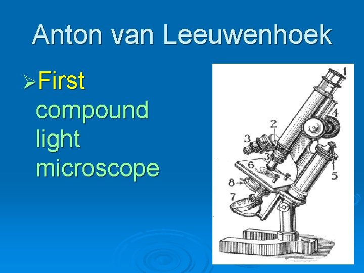 Students Will summarize the contributions scientists have made