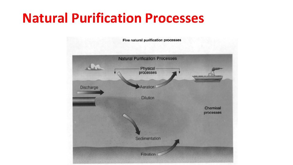 Water Pollution Dr Sireen Alkhaldi Community Medicine Water