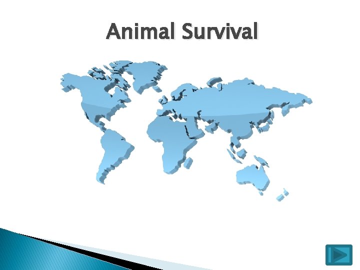 Animal Survival By TJ Beckett Animal Survival Introduction