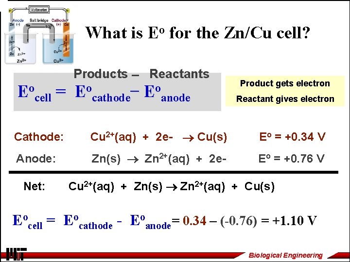 Electrochemistry VirusTemplated Electrodes F John Burpo Biomolecular ...