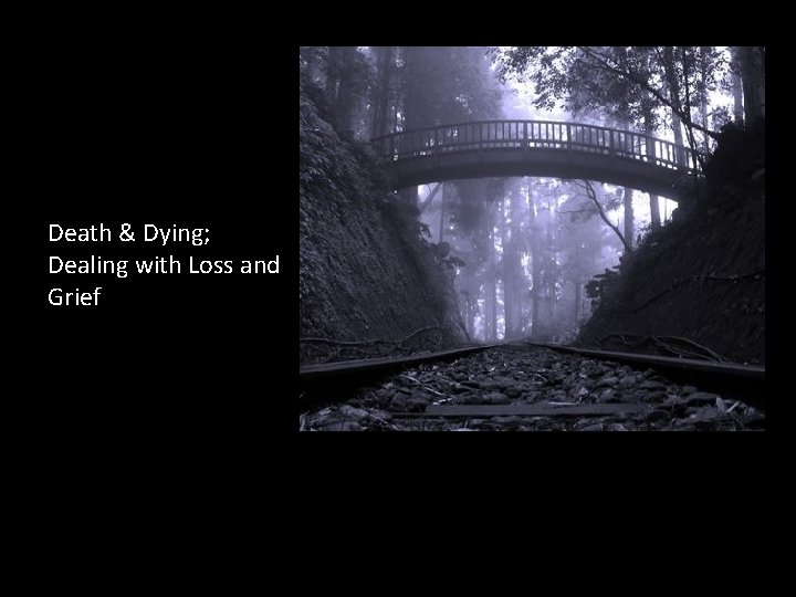Death Dying Dealing with Loss and Grief Grief