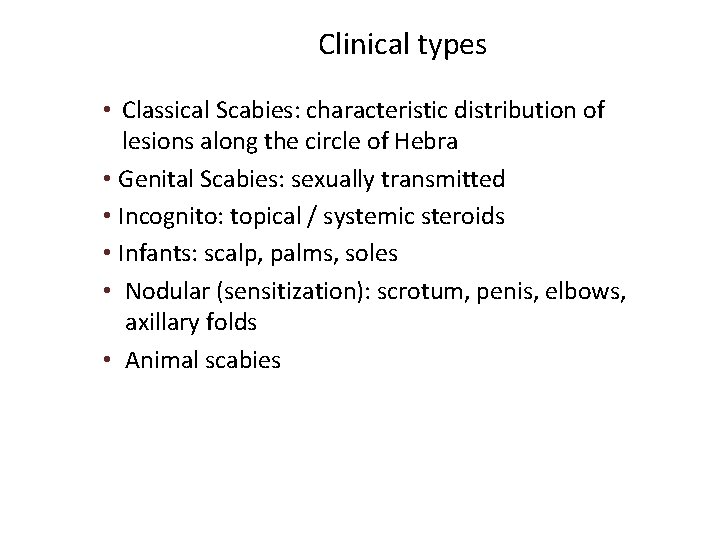 Cutaneous Infestations Scabies Pediculosis Dr N K Kansal