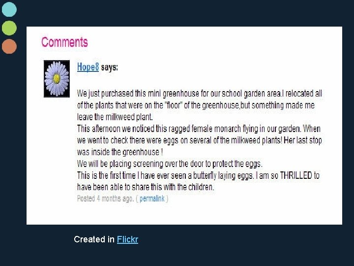 Blogging for Understanding Susan Silverman Ga ETC 2006