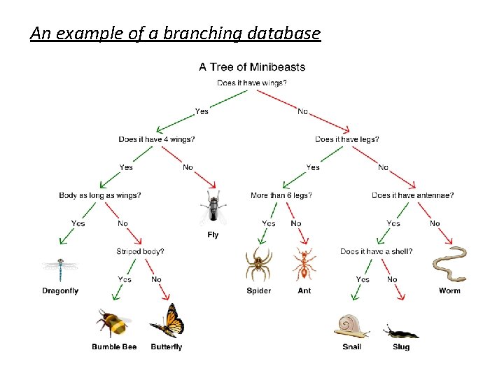 Computing Branching Databases Have you heard of the
