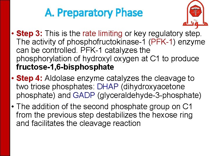 Glycolysis I Dr Nesrin Mwafi Biochemistry Molecular Biology