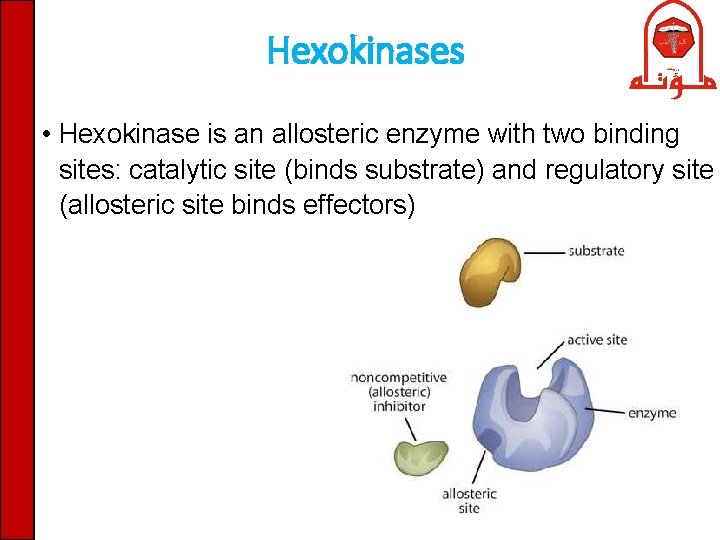 Glycolysis I Dr Nesrin Mwafi Biochemistry Molecular Biology