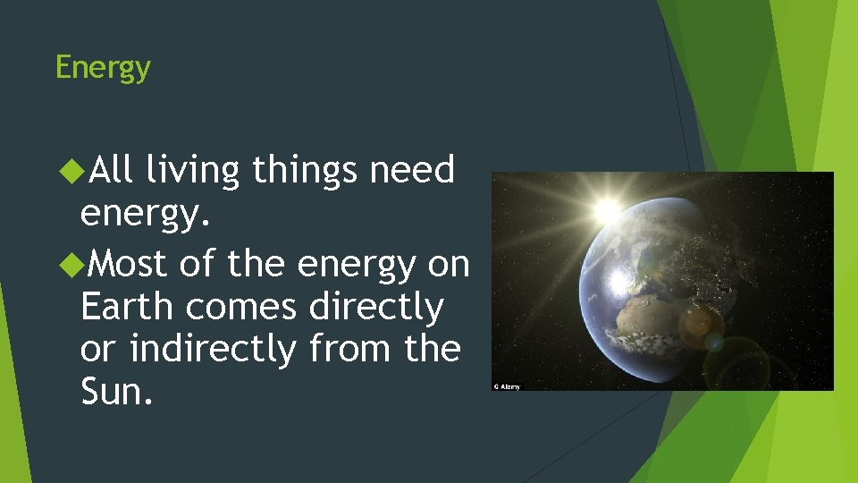 Notes Food Chains and Food Webs Energy Everything