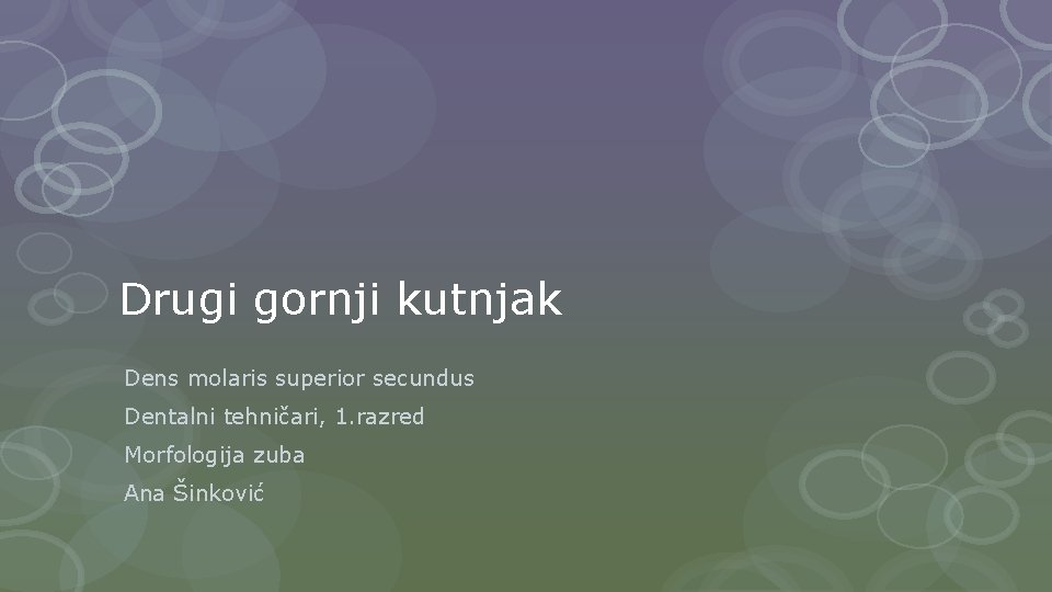 Drugi gornji kutnjak Dens molaris superior secundus Dentalni