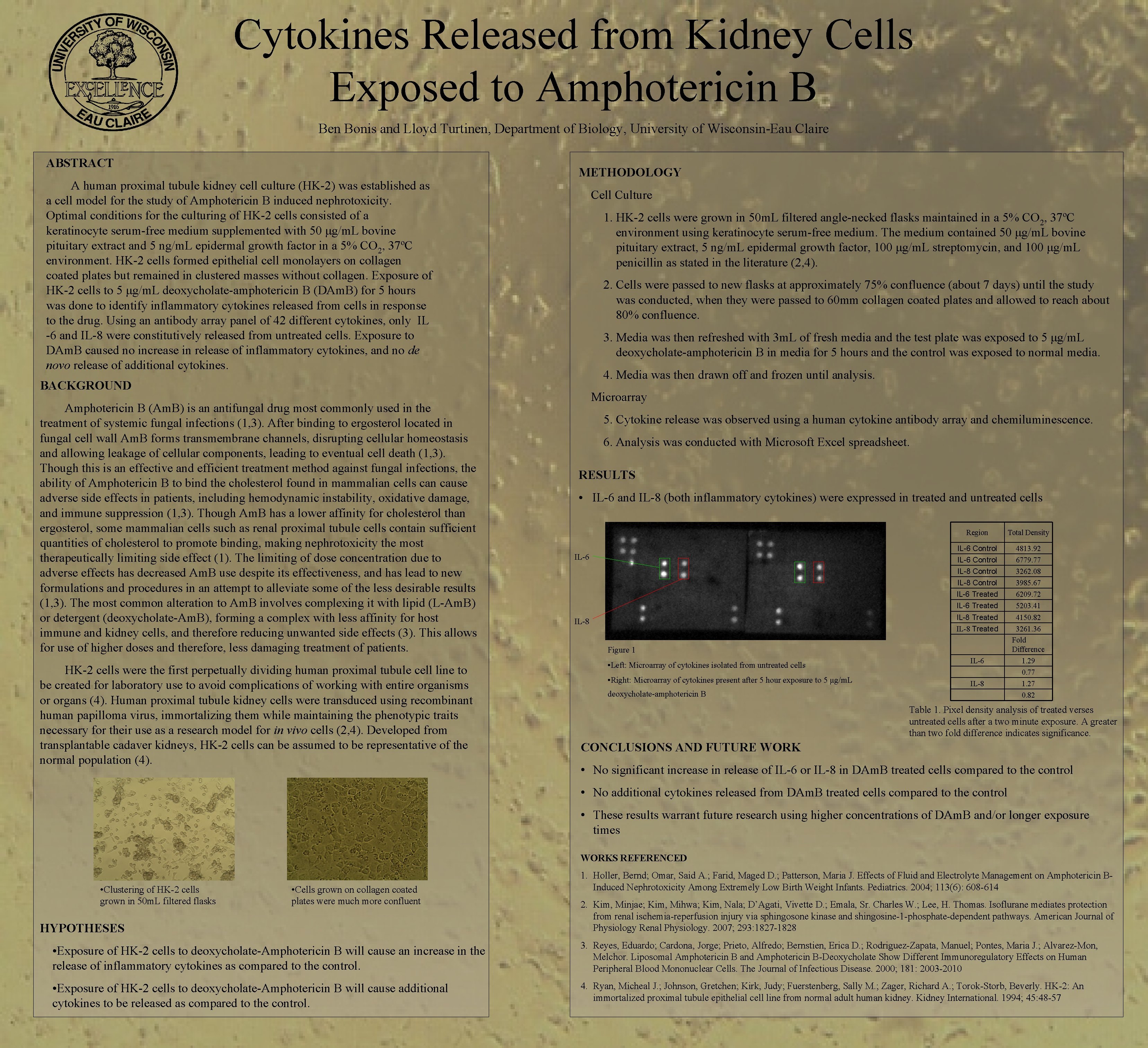 Cytokines Released from Kidney Cells Exposed to Amphotericin