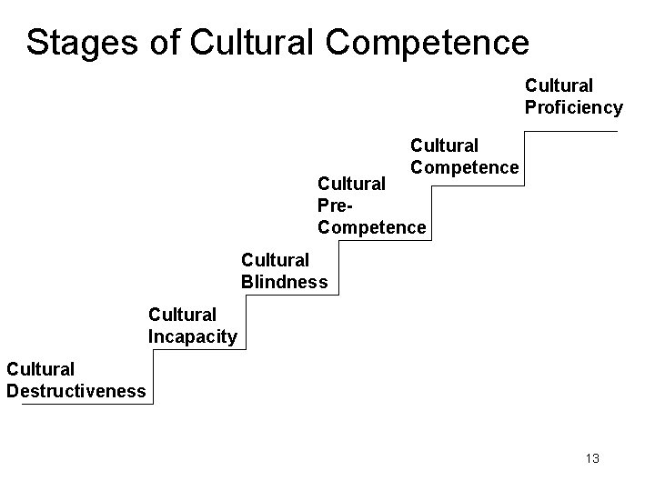 Cultural Competence Can it be Taught California Cadet