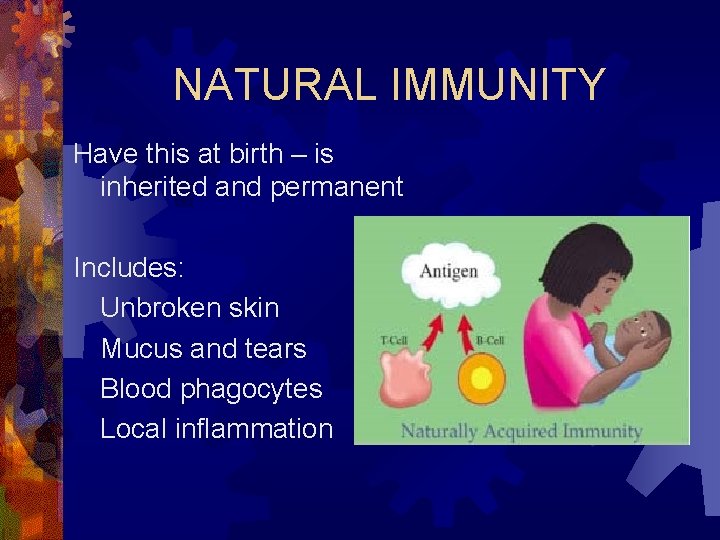 IMMUNITY IMMUNITY The bodys ability to resist bacterial
