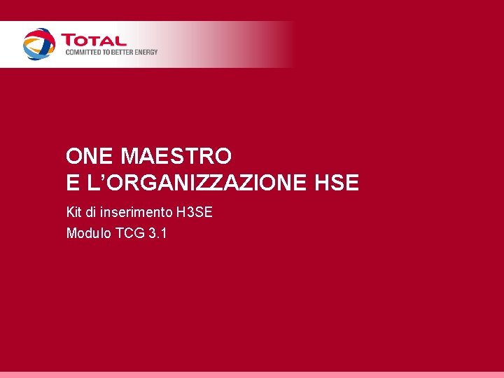 ONE MAESTRO E LORGANIZZAZIONE HSE Kit di inserimento