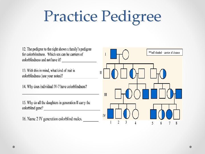 GENETICS ALTERNATE PATTERNS OF INHERITANCE Incomplete dominance Neither