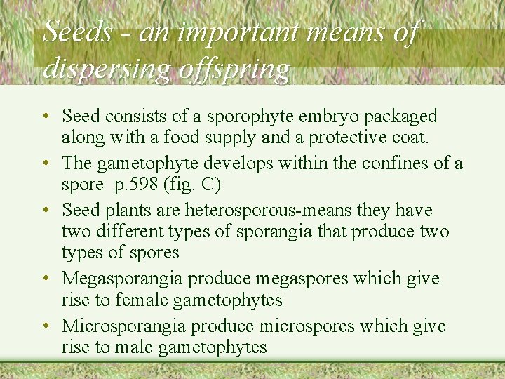 Lecture Ch 30 Chapter 30 Plant Diversity II