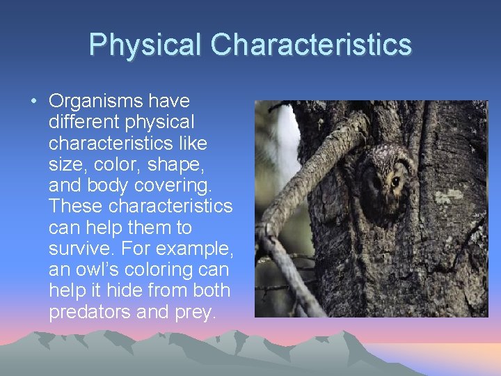 Organisms in Their Environment Created by Mrs Groover