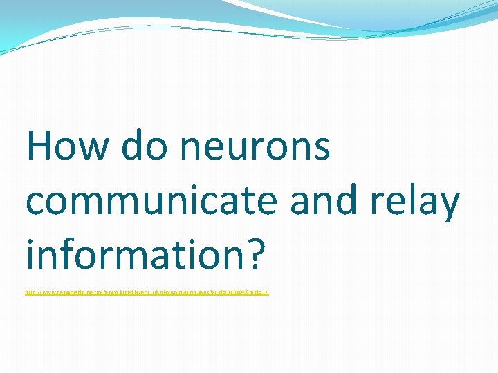 Action Potential 6 5 How do neurons communicate